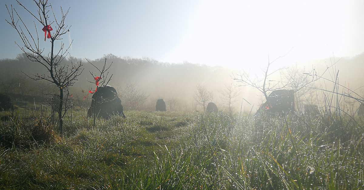 Growing into Relationship with the Earth: Mac Macartney, visionary ...