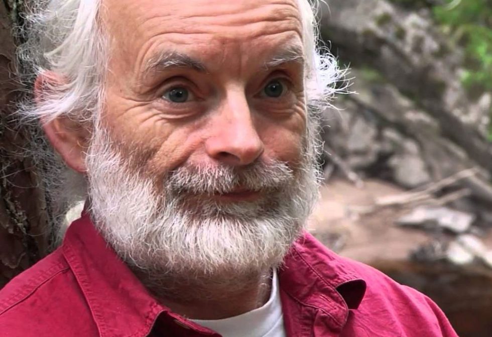 Rewilding the forests of life — ACCIDENTAL GODS