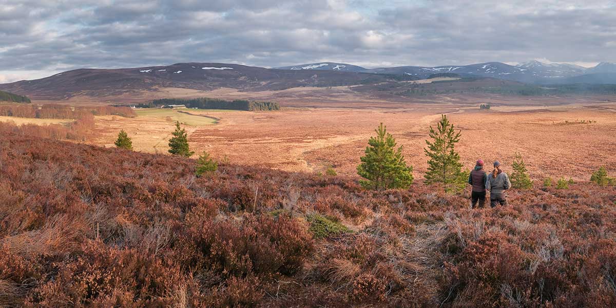 A Wild Farming Life: Building a regenerative croft from scratch ...