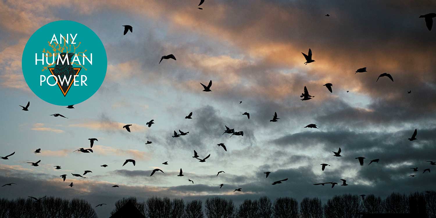 Any Human Power - Manda Scott talks about her new Thrutopian Mytho ...