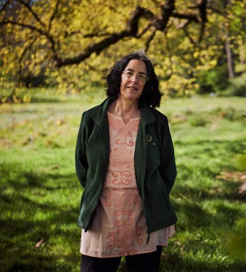 How the System is Slaying Us and What to Do About It: Getting Healthy ...