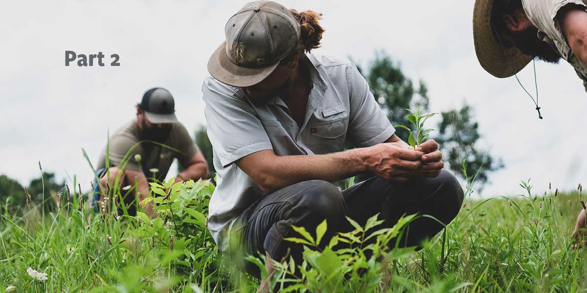 Kin-centric Rewilding 2 - Bonus - continuation of the conversation with ...