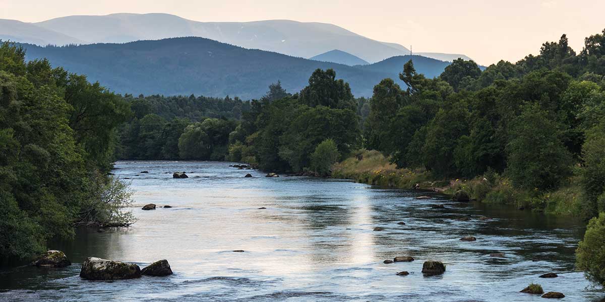 ReWilding our Water: From Rain to River to Sewer and back with Tim ...